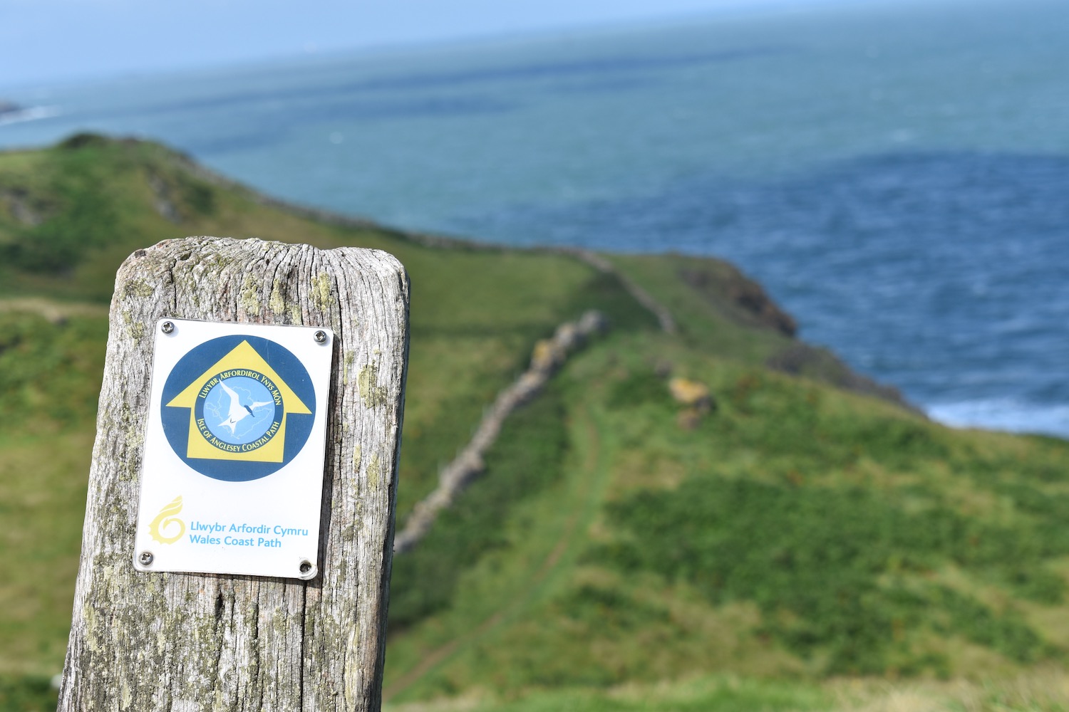Six reasons to visit Anglesey | Green Adventures