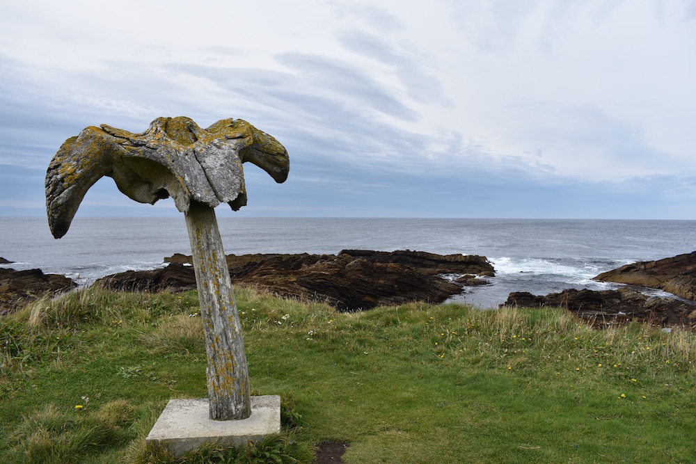 Ten more reasons to visit Mainland Orkney | Green Adventures