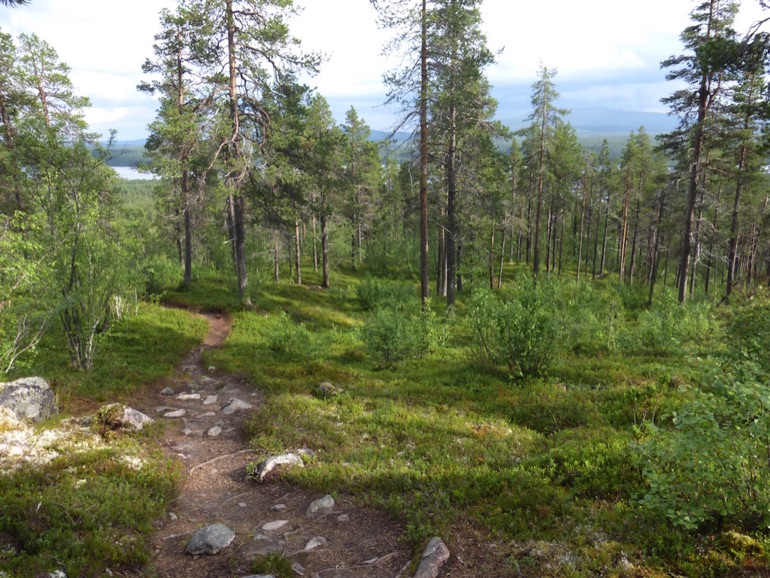 Hetta, Finland | Green Adventures