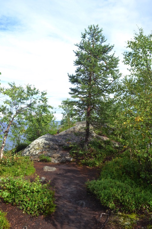 Inari, Lapland | Green Adventures