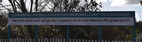 Dog-friendly Wales | Green Adventures