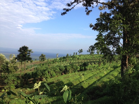 Visiting Virunga: experiencing mountain gorillas as a responsible ...