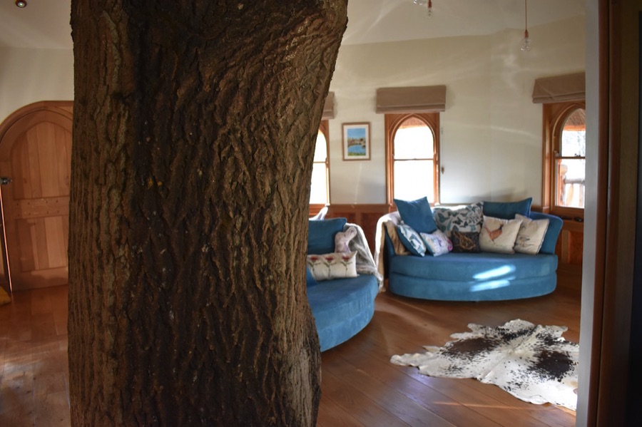 Treeopia - a stay in a magical treehouse | Green Adventures
