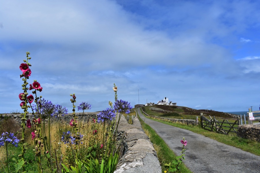 Six reasons to visit Anglesey | Green Adventures