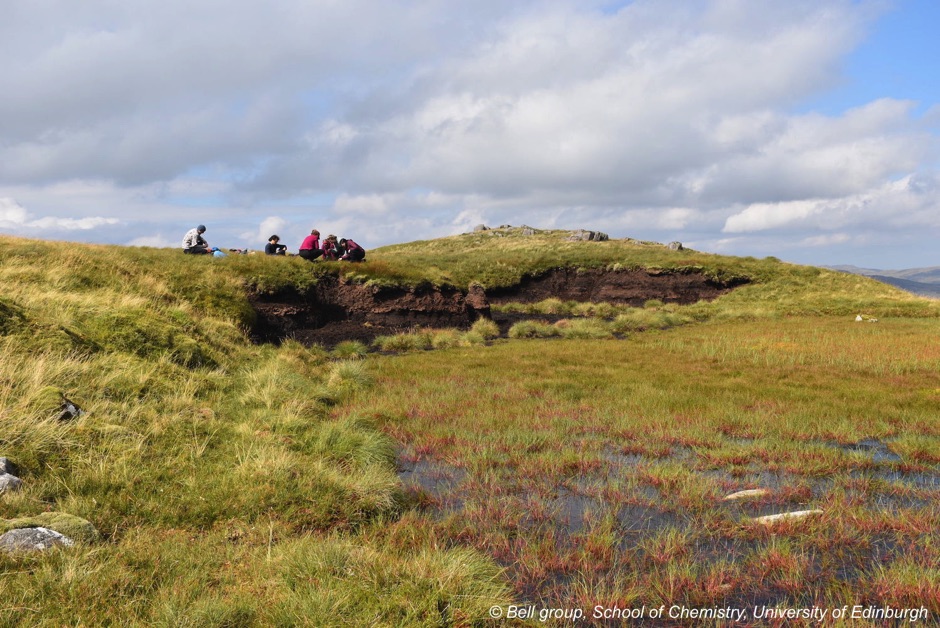 Peatland monitoring in Scotland secures grant boost | Green Adventures